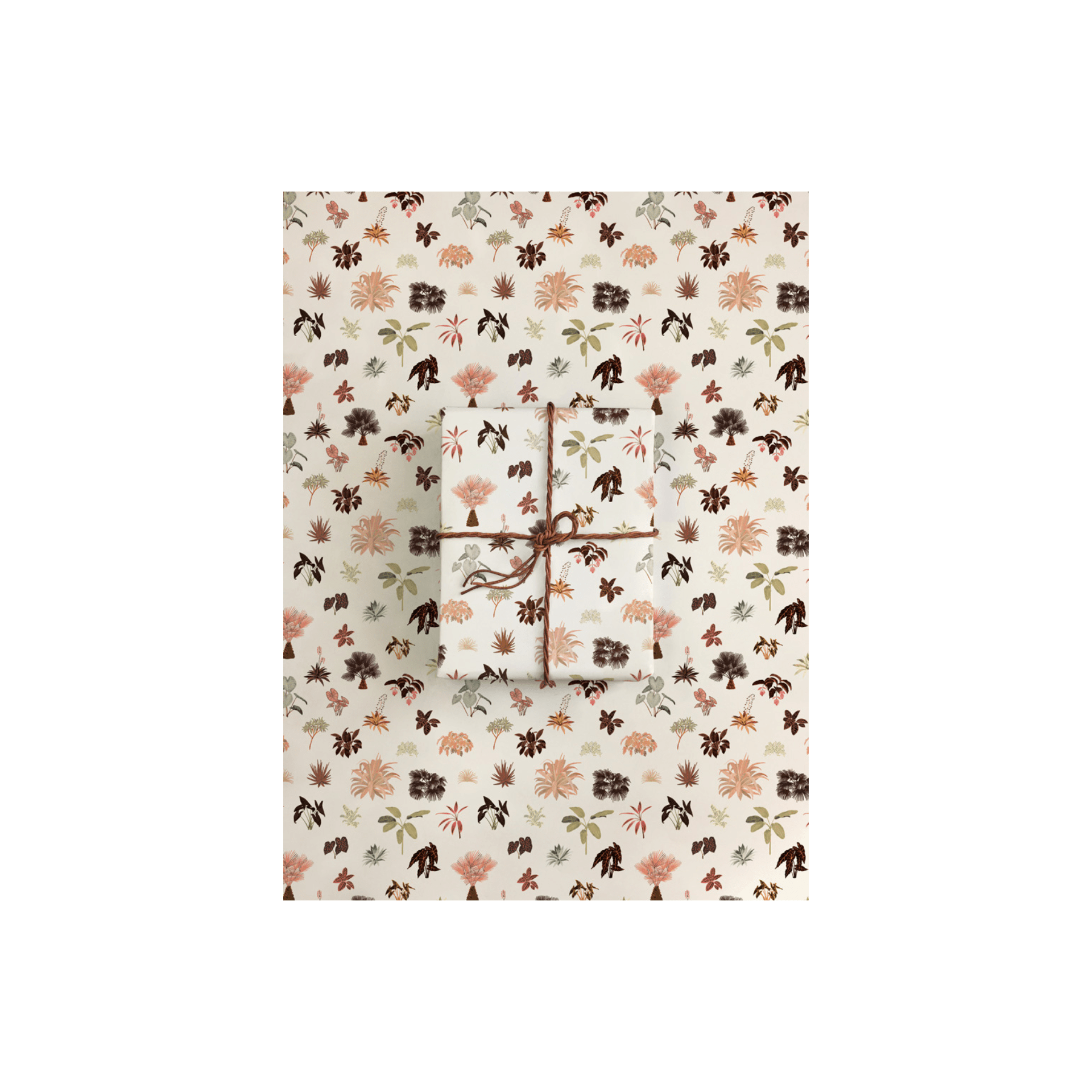 Foglio di carta regalo San Diego – SayPaper